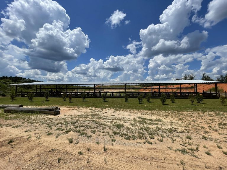 About Us – Element Training Complex